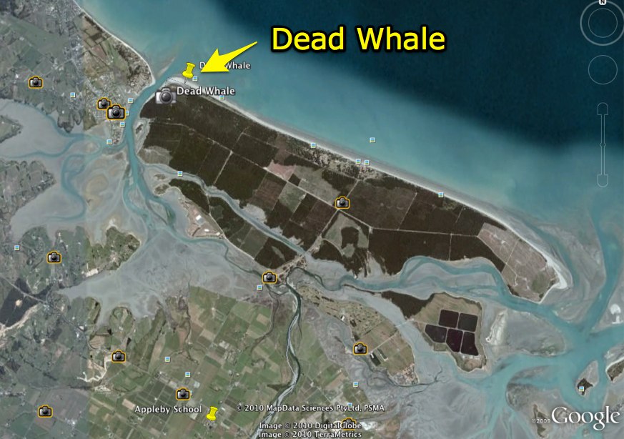 Moturoa's Blog: May 2010