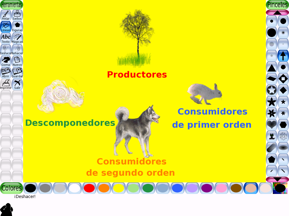 La pérgola: Cadena Alimentaria