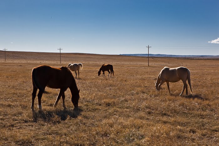 The Greater Picture: Day 4, Salina, KS to Colorado Springs, CO