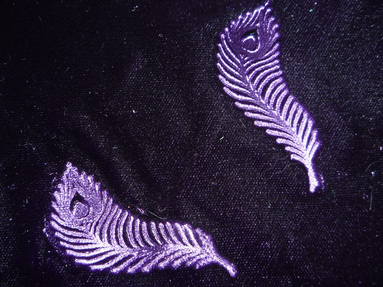 Embossed Velvet Swap