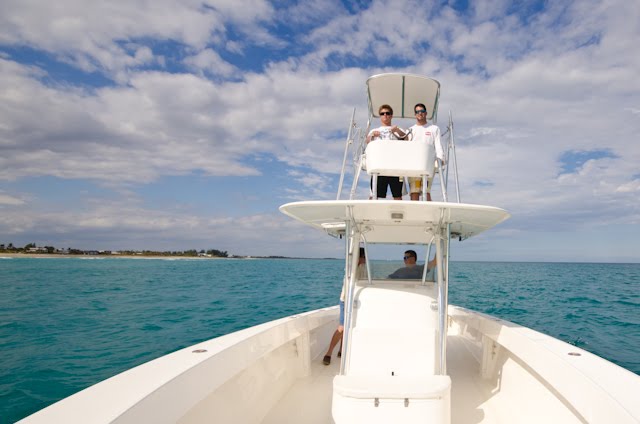 Ejazzle's Toilet: The 39 Venture