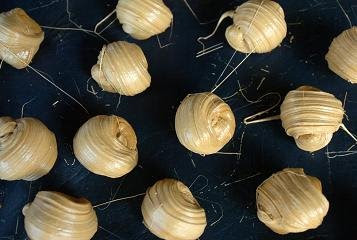 César Avilés-Portafolio: Dulce de Melcocha/San Vicente/El Salvador