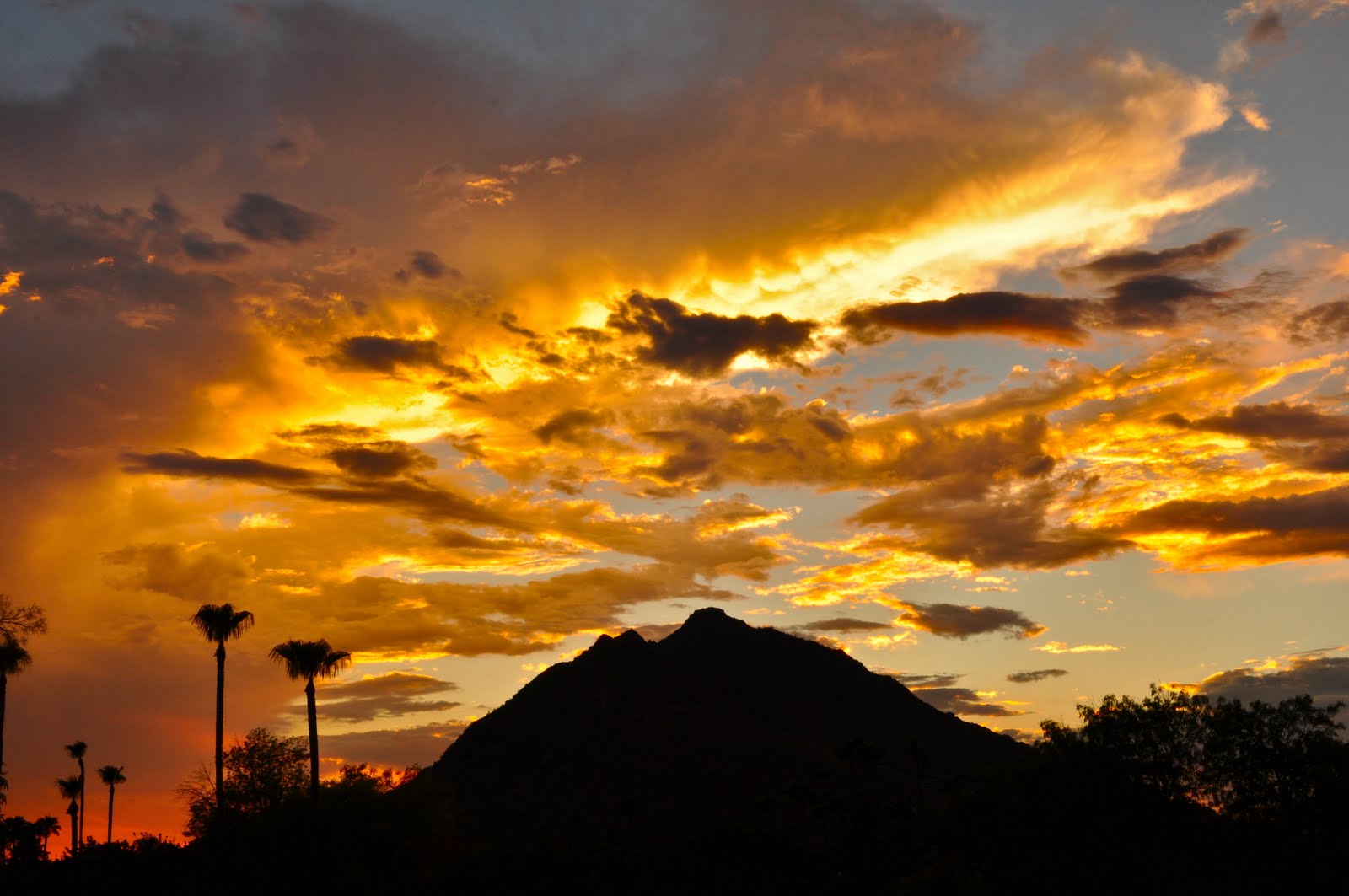Scottsdale Daily Photo: Photo: Yellow Sunset Over Camelback