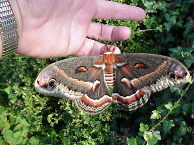 ___prh...a day in the life....Blogging since July 2007: Rick's Place ...