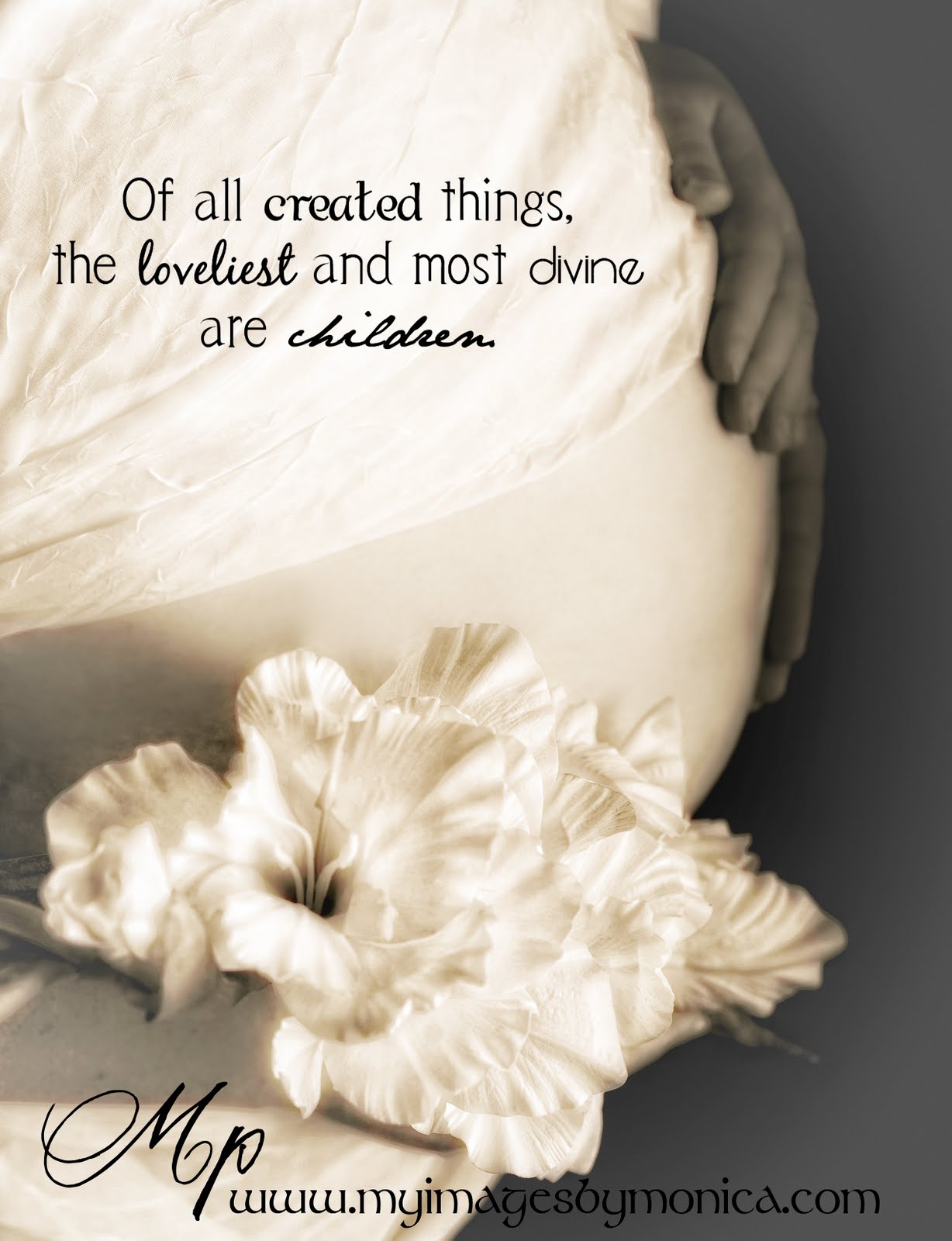 Parkkonen Photography: A BEAUTIFUL BEGINNING