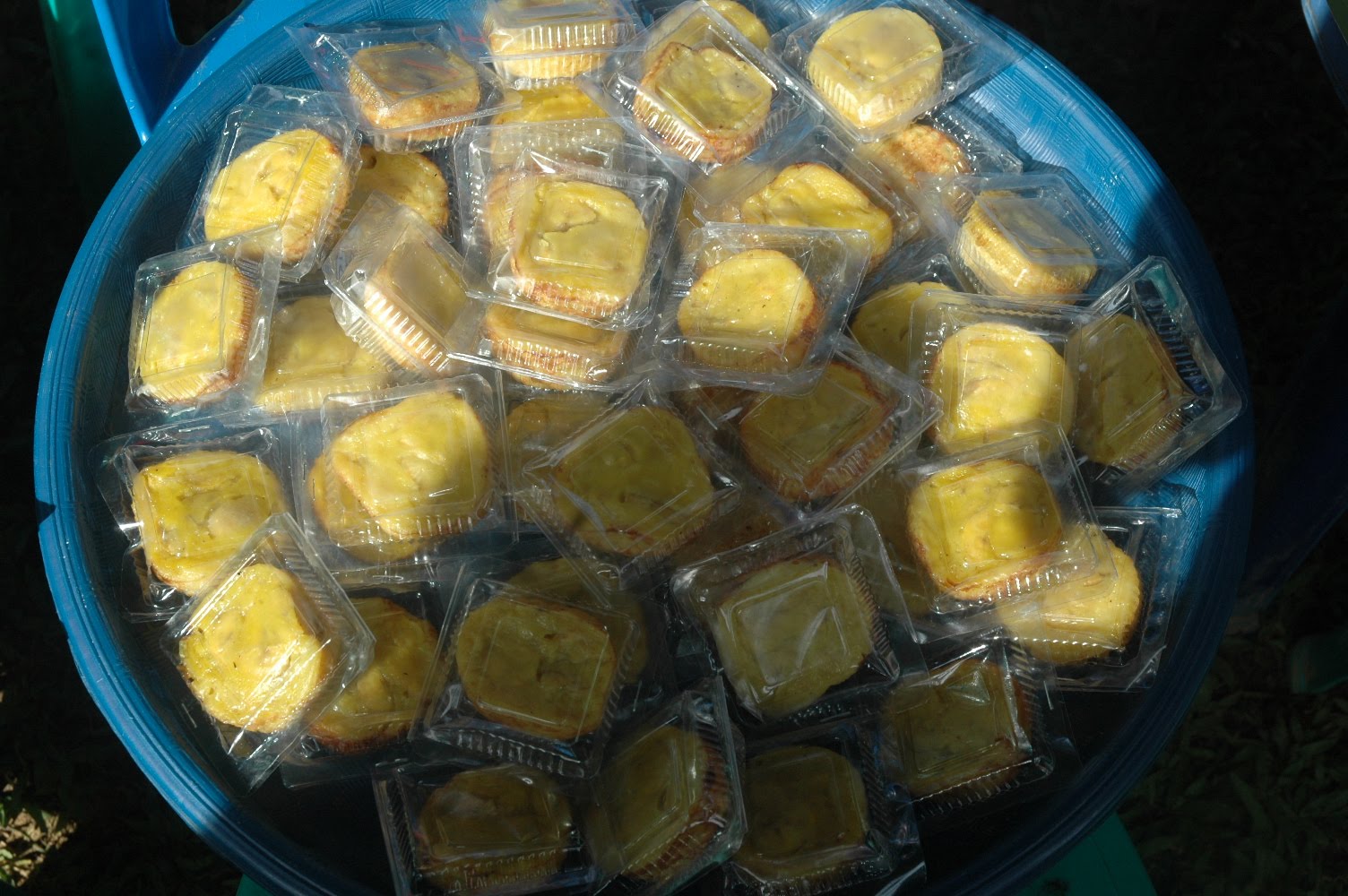 HORAS Kutai Kartanegara: ANEKA JAJAK KHAS KUTAI