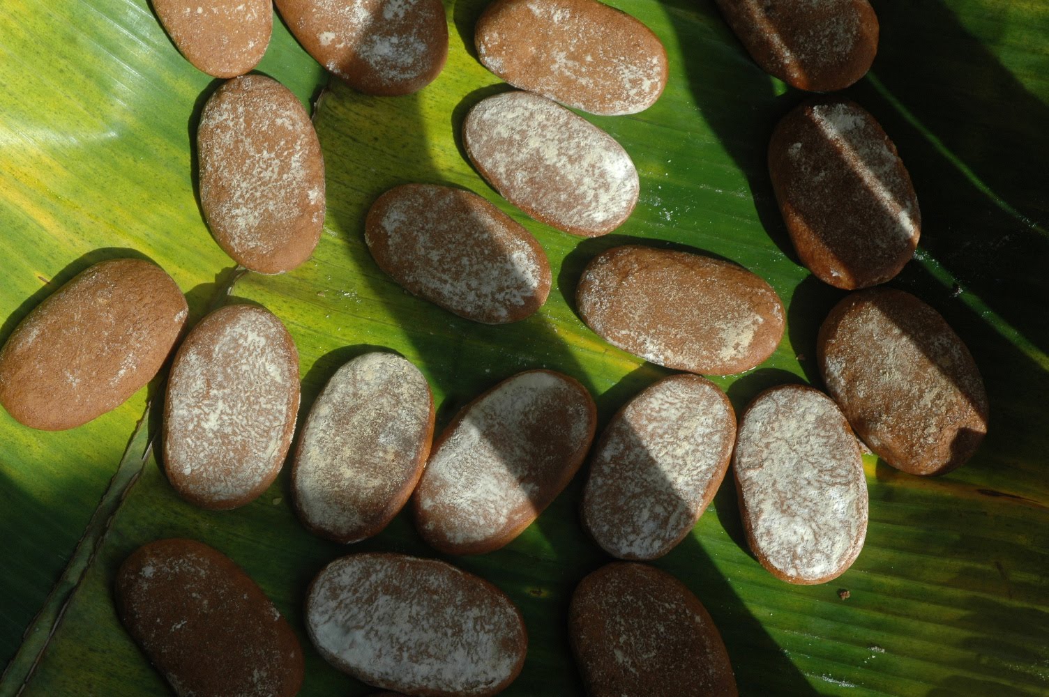 HORAS Kutai Kartanegara: ANEKA JAJAK KHAS KUTAI