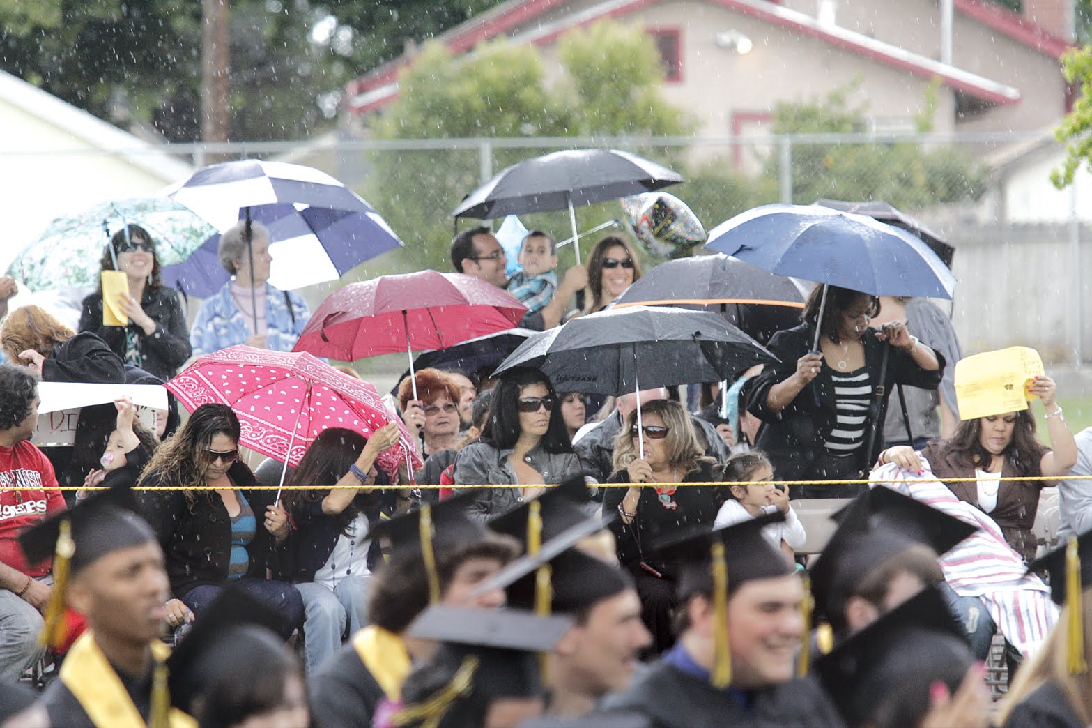 Snapshots: A little rain must fall