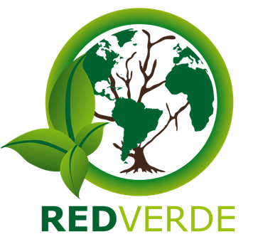 Red Verde: La sopa de basura del Atlántico no crece, pero ¿a dónde ha ...