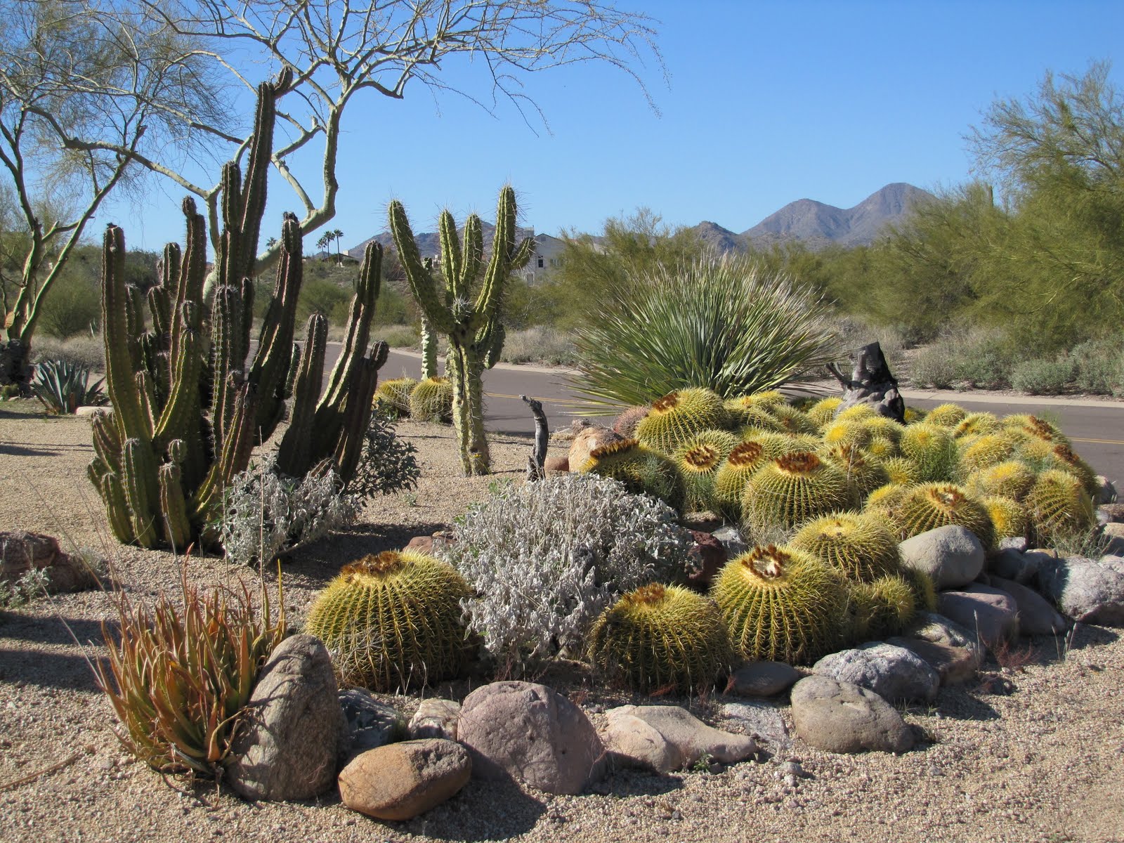 Travel With the Breeze: Frozen Arizona