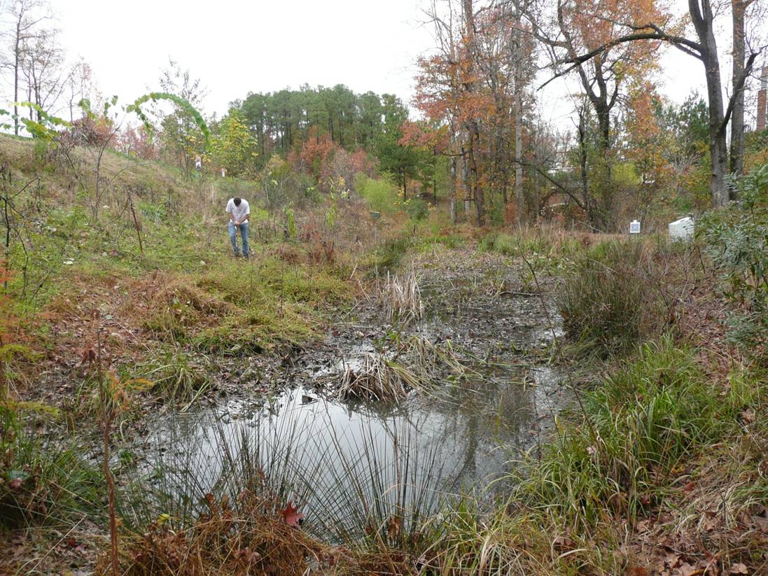 Hydrology and Biogeochemistry for Ecological Engineers: Collecting ...