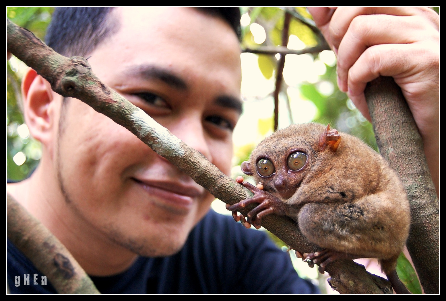Travel ^ Adventure ^ Photography: All about PHILIPPINE TARSIER