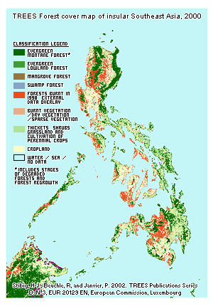 Philippine Native Forest Trees: Philippine Forest Near Extinction (1900-2000)