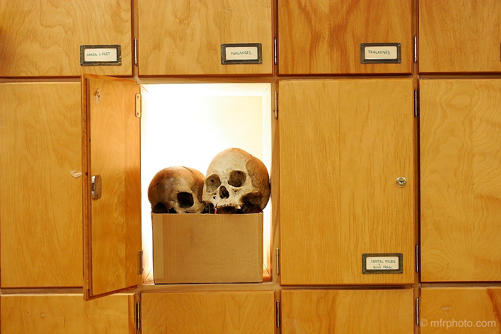 MFR photoblog: skeletons in his closet