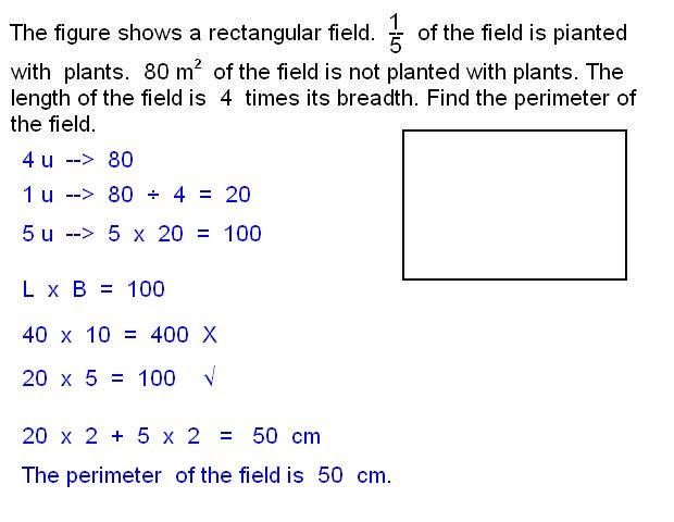 P4 Maths: Area and Perimeter