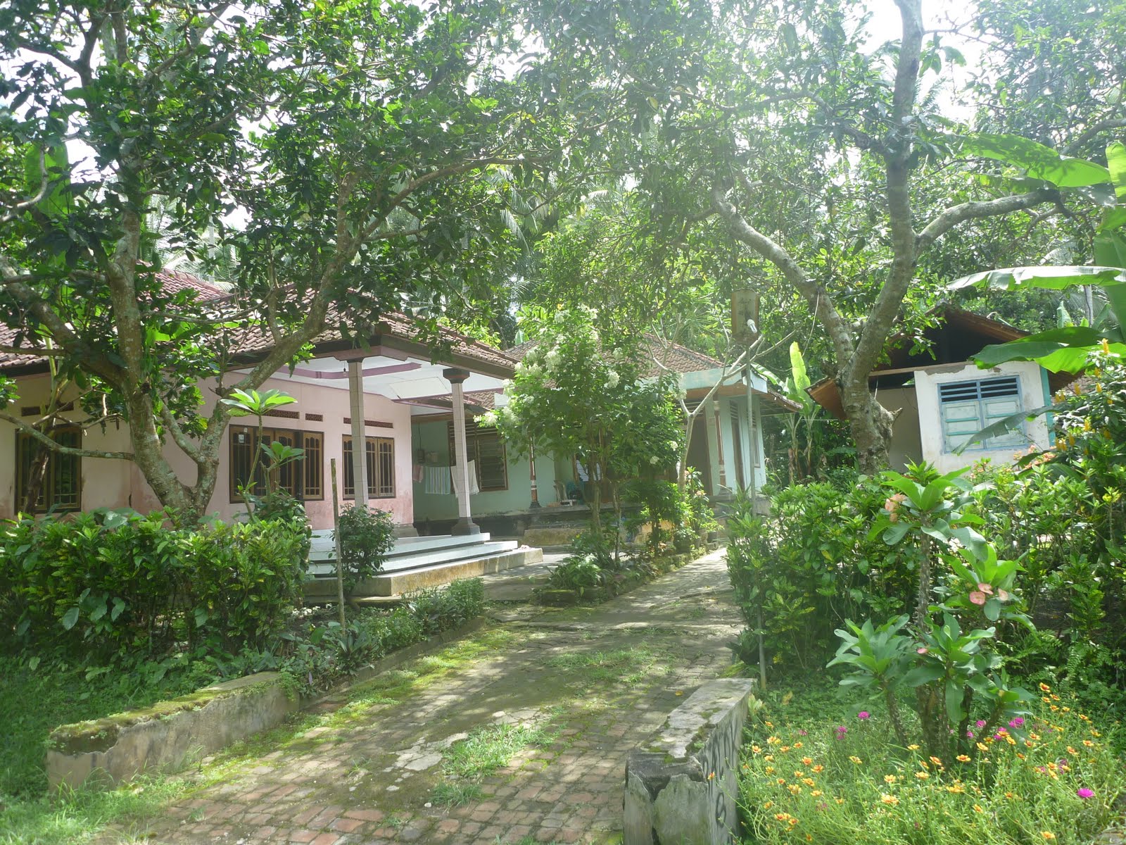 Julie's Bali Adventure: An amazing weekend in Blimbing Sari