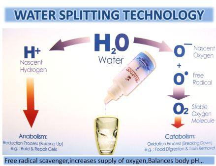 Healthy Cell Concept