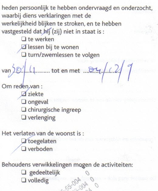 Saartje. MUVO: Sintfeest organisatie (27/11/2009)