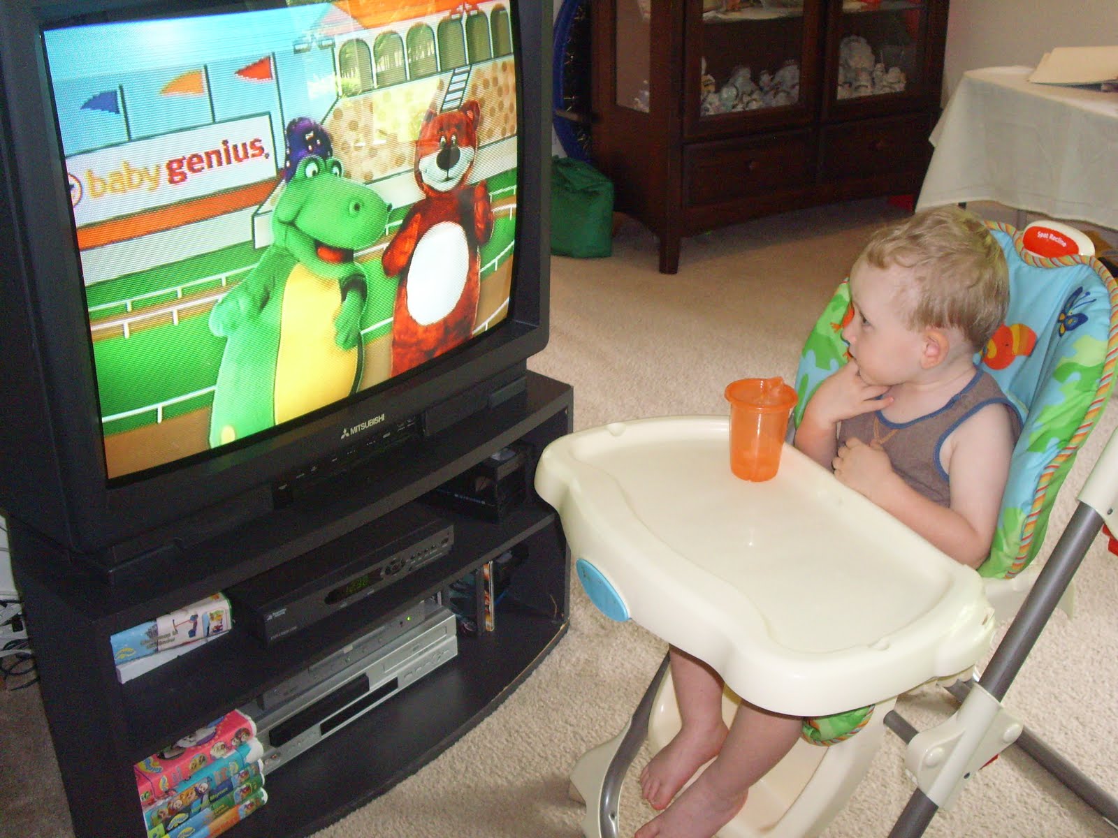 Lucas's Journey with Sensory Processing Disorder: Baby Genius, Favorite ...