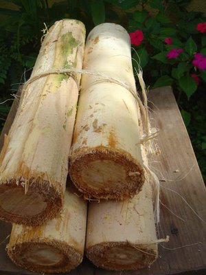 Guariroba - GUARIROBA - Syagrus oleracea vulgo Guariroba