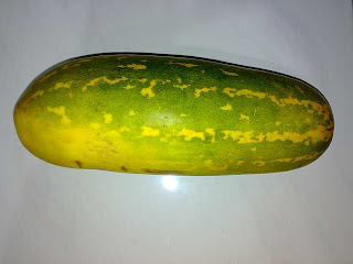 Healthy Food! Good Food!: Timun Suri