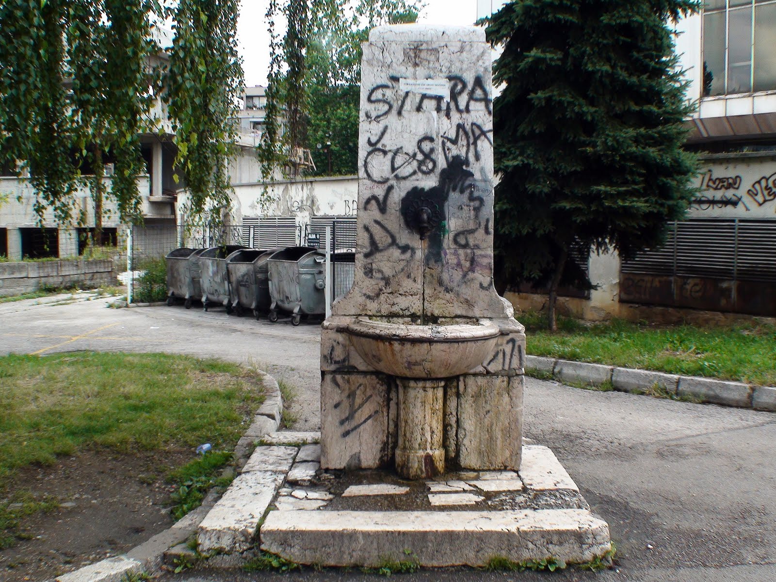 ZENICA SLIKE: Slike Zenice