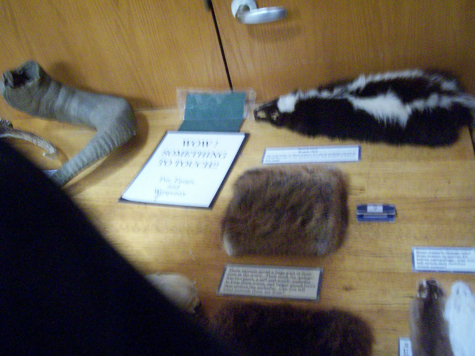 Tripping around Washington: Connor Museum - WSU