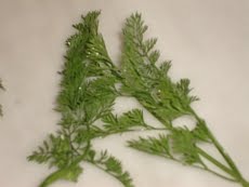 Authentic Greek Recipes: Greek Greens (Horta)