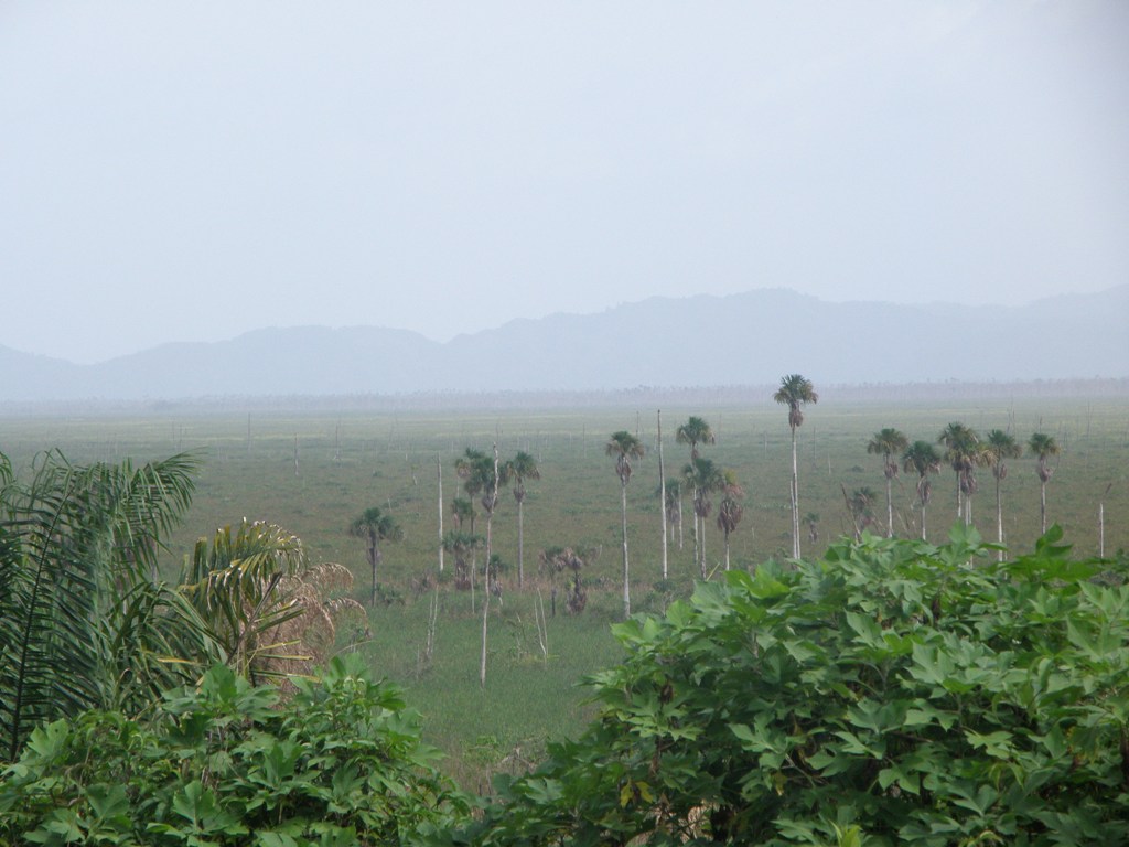 OVERLANDING VENEZUELA: GUANOCO Lago de Asfalto