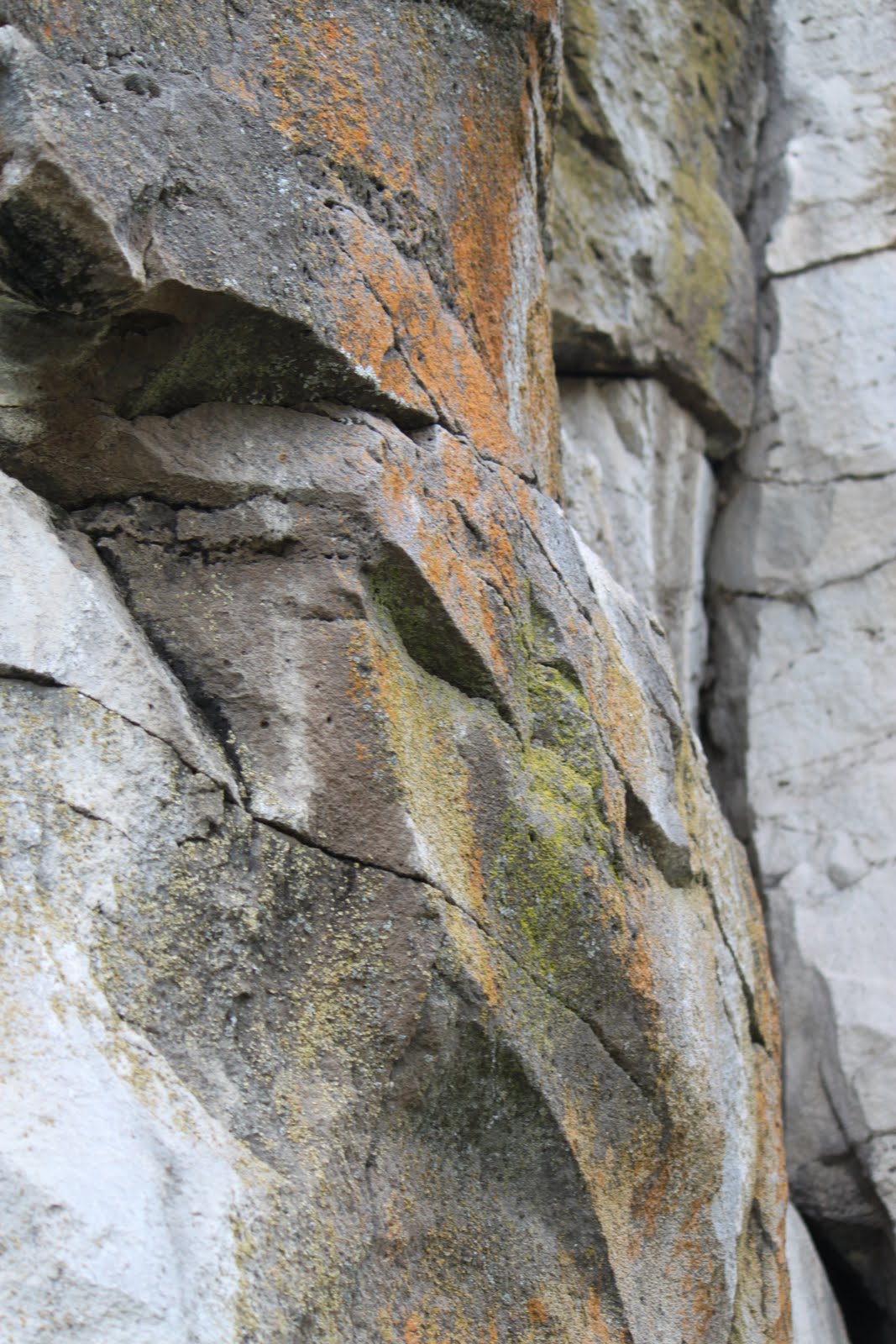 A Thousand Words: Even the Stones Cry Out