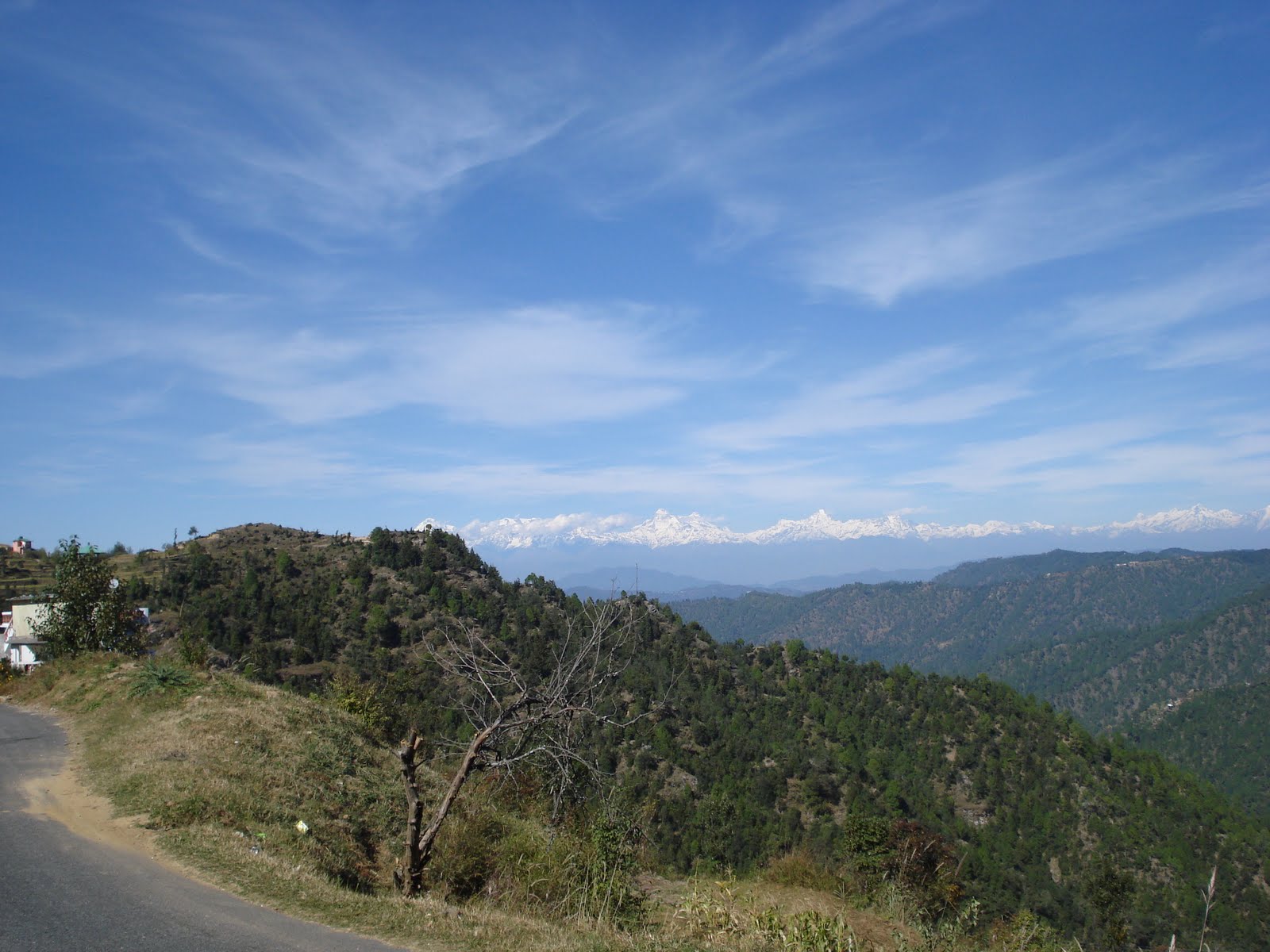 Binsar: Binsar Weather