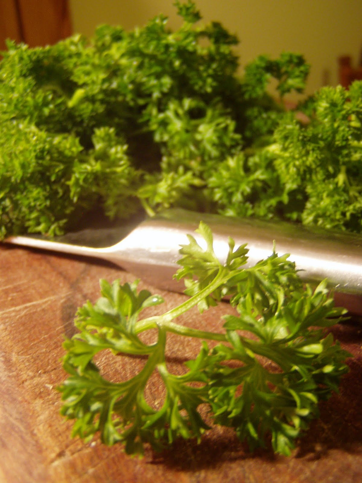 Rustic Parsley Pasta with Lemon Garlic Sauce