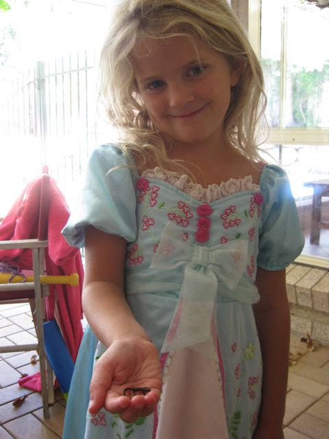 The Anscombe Four: Australian Animal Antics!