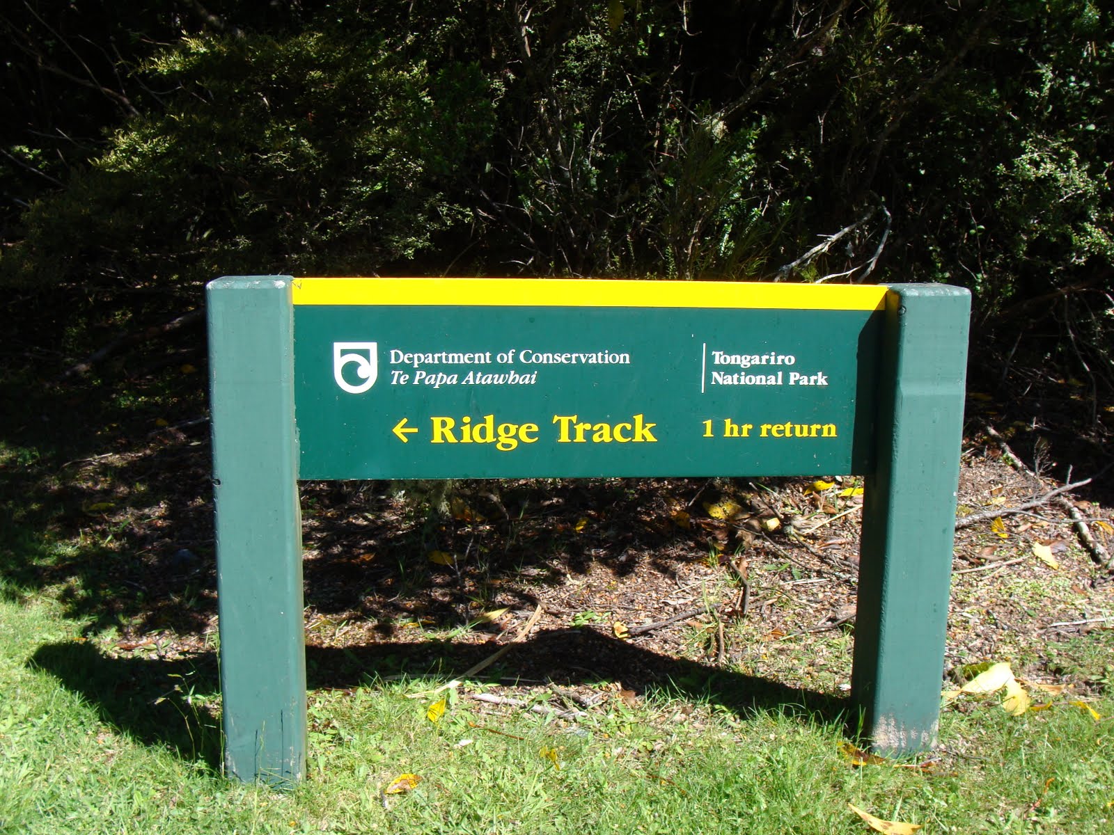 Kowhaiz: Ridge Track ,30th Dec2009