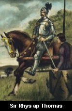 A Tree Full of Gingers: tales of Lords, Ladies and Knights