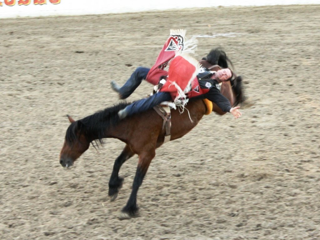 The Buffalo Bill Rodeo