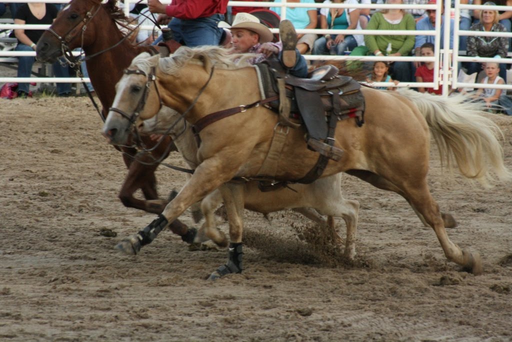 The Buffalo Bill Rodeo