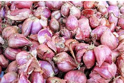 Pickled Baby Red Onions | Journey Kitchen