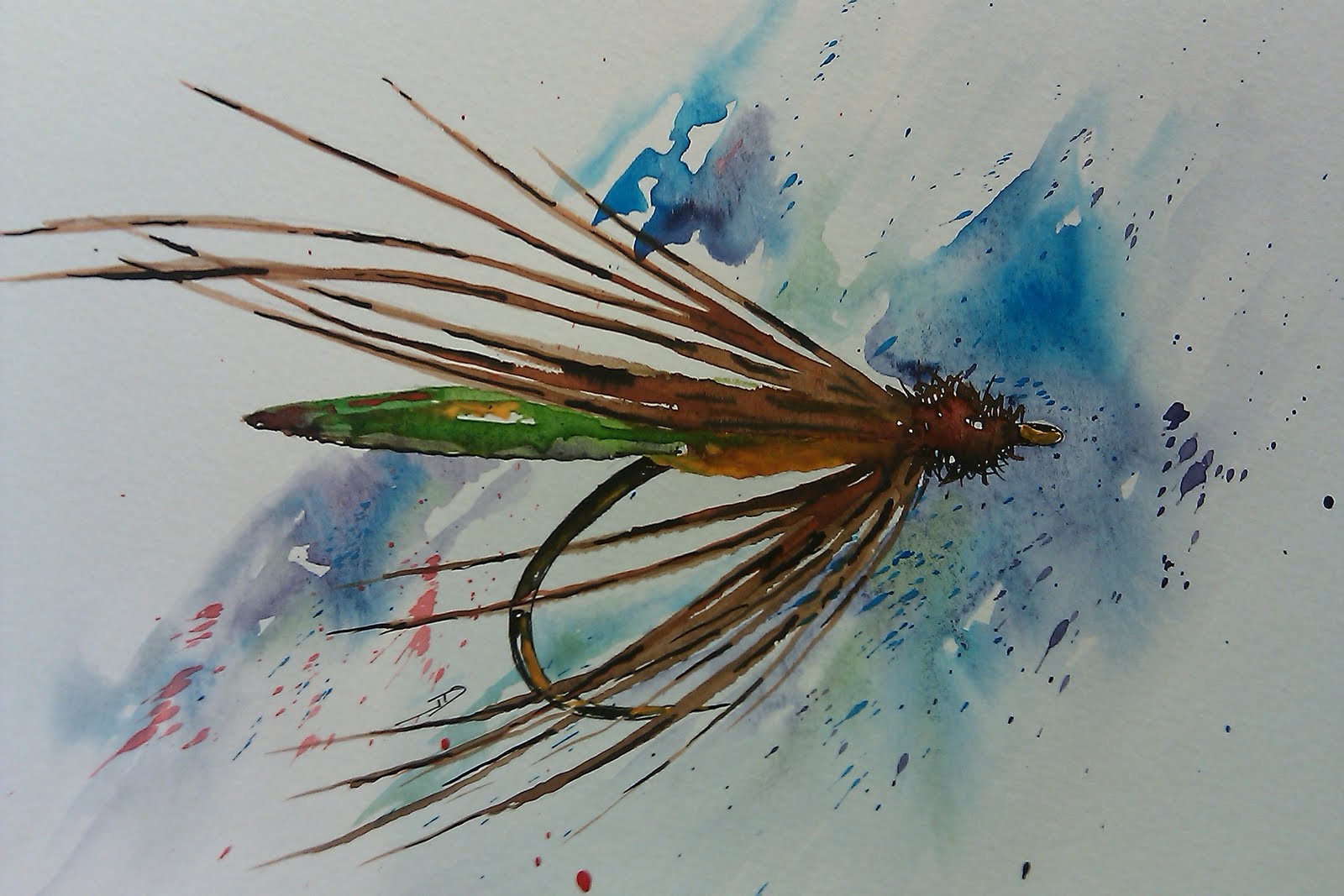 A Year On The Fly: Hatching Mayfly Nymph