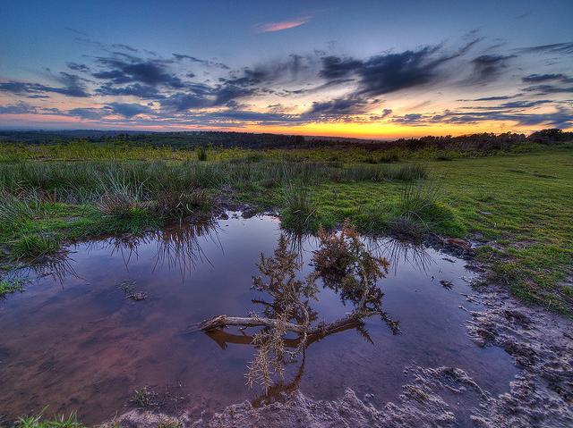 The Gorgeous Princess...: >> MUddY PUddLES