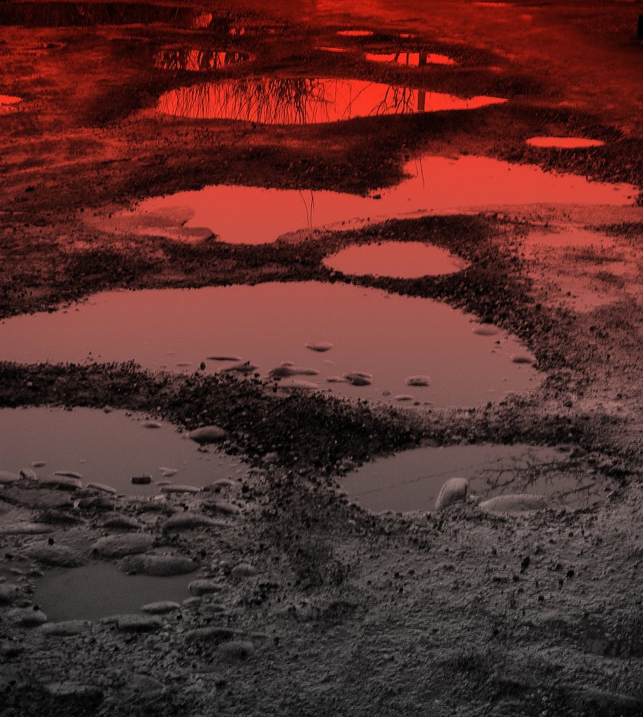 The Gorgeous Princess...: >> MUddY PUddLES