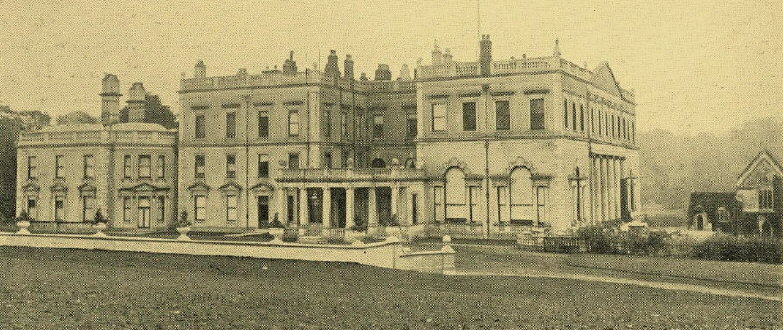 Serendipity & the Baden-Powells - Stacy A. Cordery