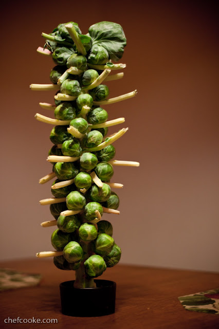 BIKE.COOK.PLAY: Brussel Sprout Tower