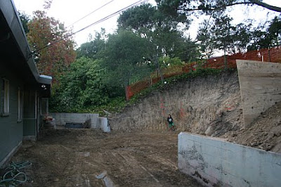 The Inadomi Chronicles