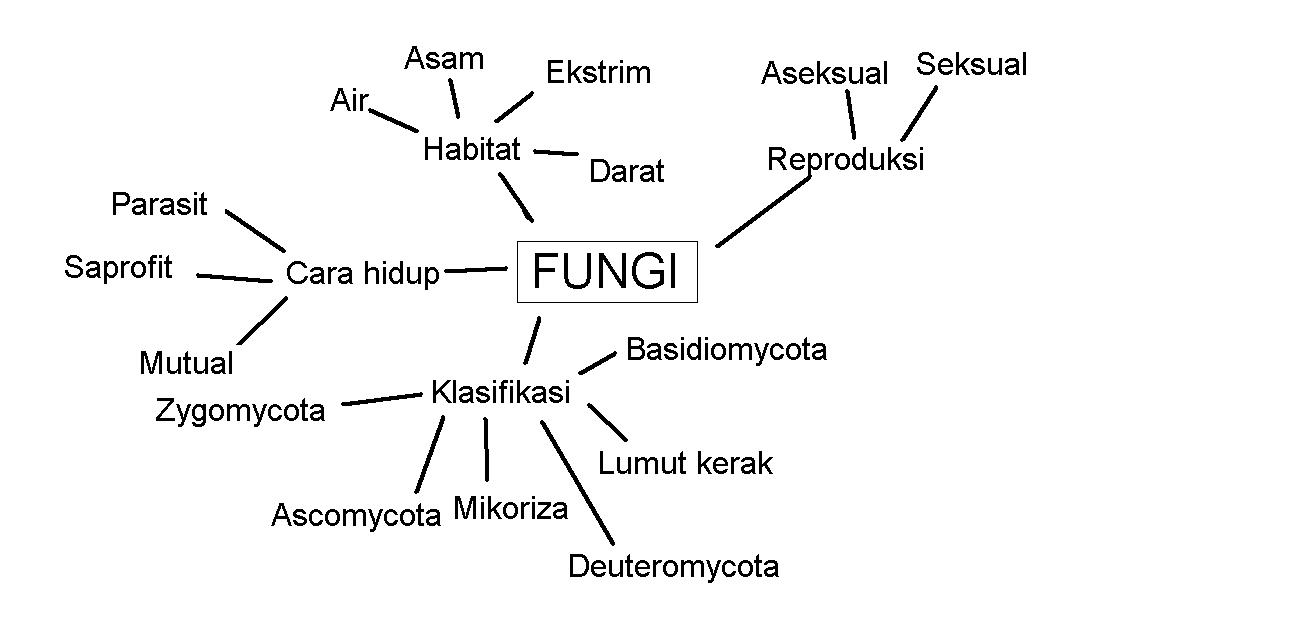 Biology @ X IPA High/Honor: 8. Mind Mapping