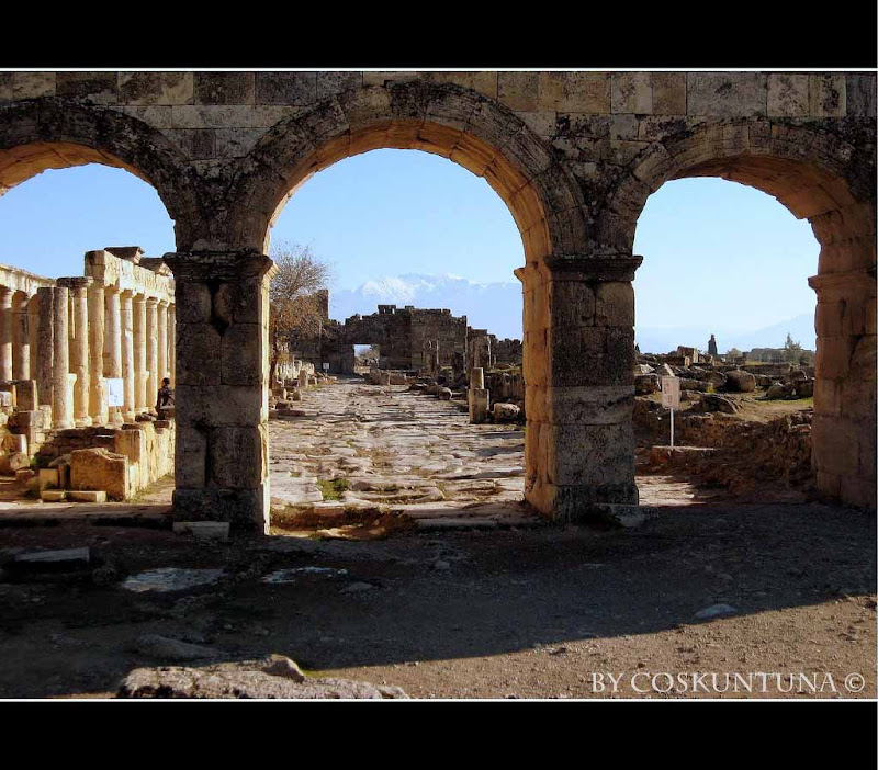 Nelson Chin: Turkey Holiday!