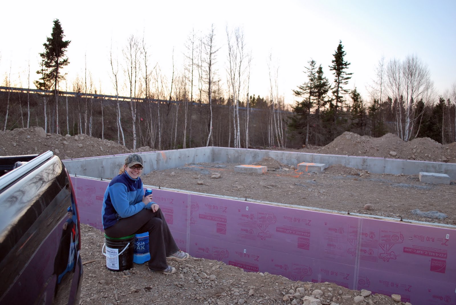 The Daily Rose: Frost wall insulation - Check!