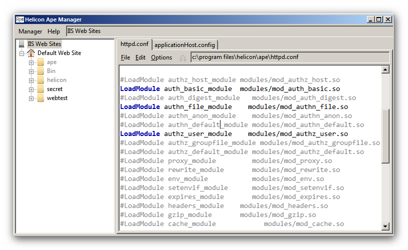 Enabling site authentication not using Windows users | HeliconTech Blog