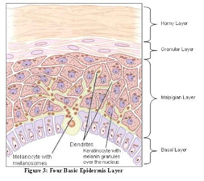 Healthy Skin Solutions