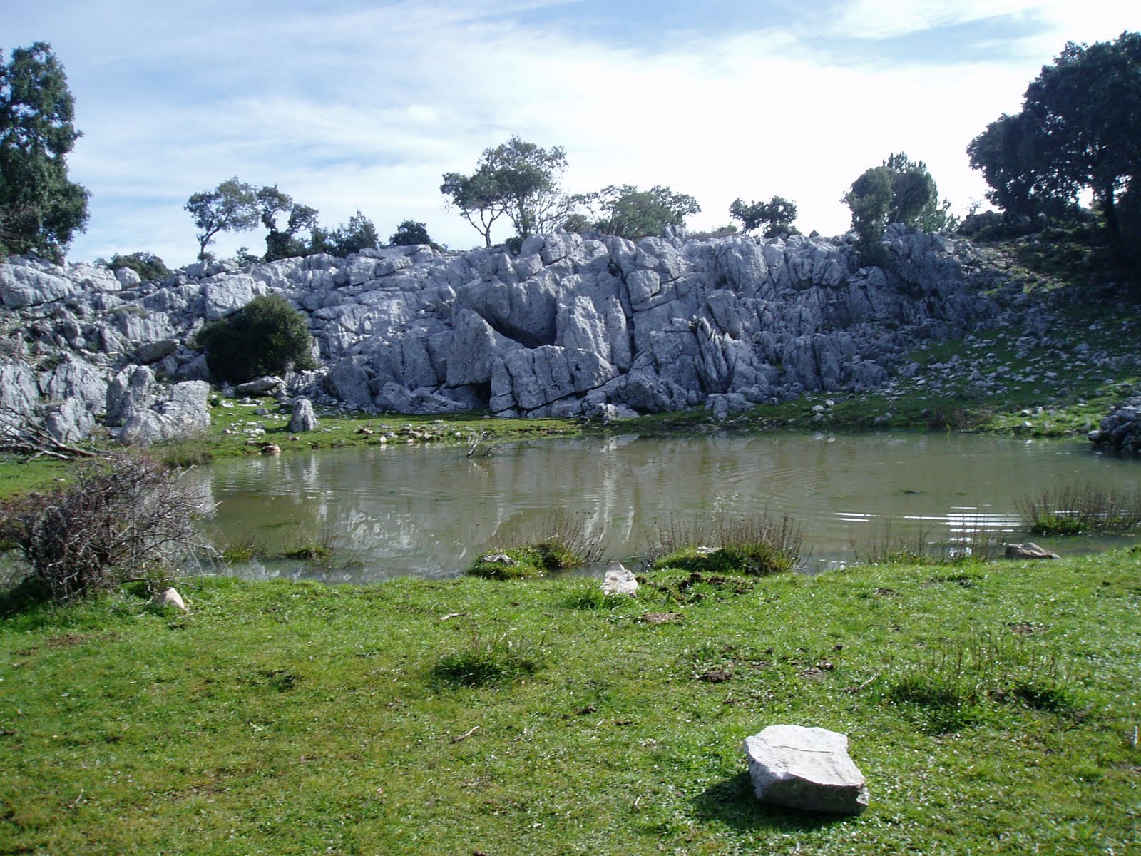 fauna y flora (extremadura-sao luis): Las charcas